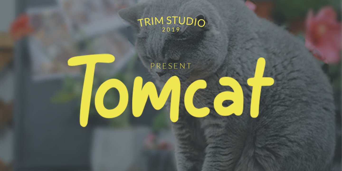 Шрифт Tomcat